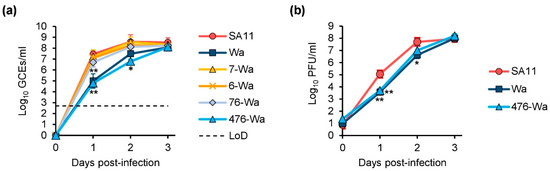 Strain-Specific Interactions between the Viral Capsid Proteins VP4, VP7 ...