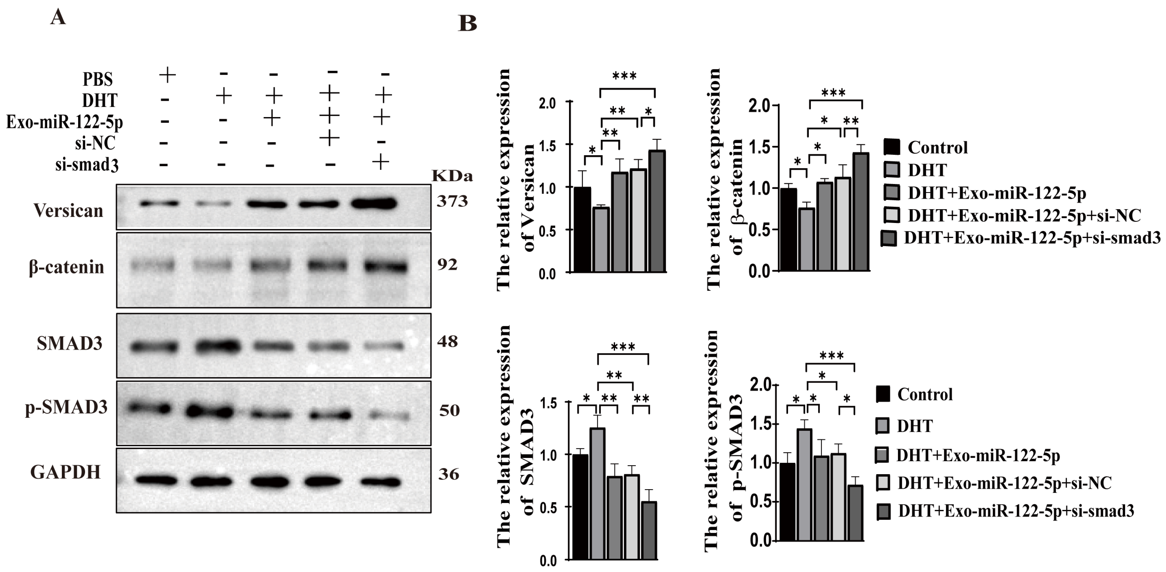 Ijms Free Full Text Adipose Mesenchymal Stromal Cell Derived
