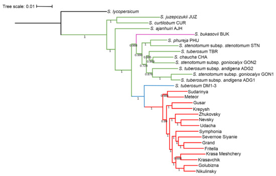 Analysis of Genome Structure and Its Variations in Potato Cultivars ...