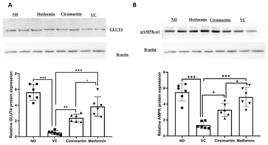 The Emerging Importance of Cirsimaritin in Type 2 Diabetes Treatment | MDPI