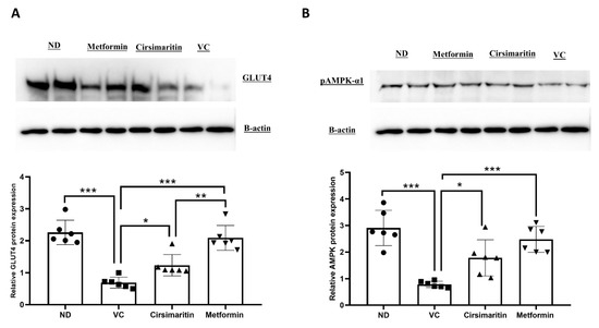 The Emerging Importance of Cirsimaritin in Type 2 Diabetes Treatment | MDPI