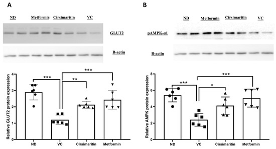The Emerging Importance of Cirsimaritin in Type 2 Diabetes Treatment | MDPI