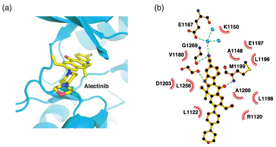 Molecular Anatomy of the EML4-ALK Fusion Protein for the Development of ...