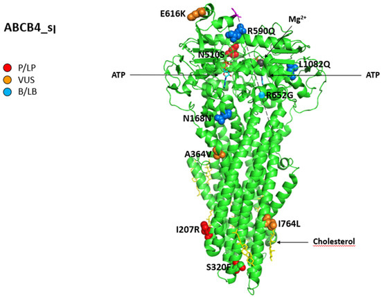 Molecular and Clinical Links between Drug-Induced Cholestasis and ...