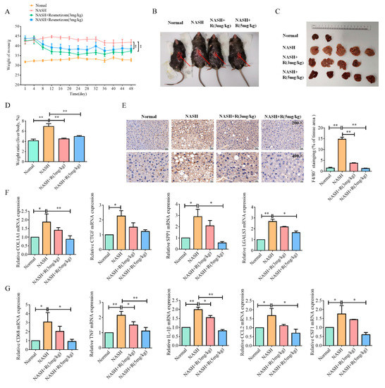 Resmetirom Ameliorates NASH-Model Mice by Suppressing STAT3 and NF-κB ...