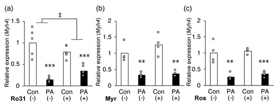 Palmitic Acid Inhibits Myogenic Activity and Expression of Myosin Heavy ...