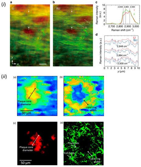 Modern Microscopic Approaches to Astrocytes