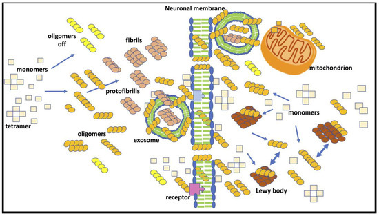 Alpha Synuclein: Neurodegeneration and Inflammation