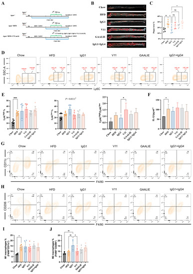 IgG1 Is the Optimal Subtype for Treating Atherosclerosis by Inducing M2 ...