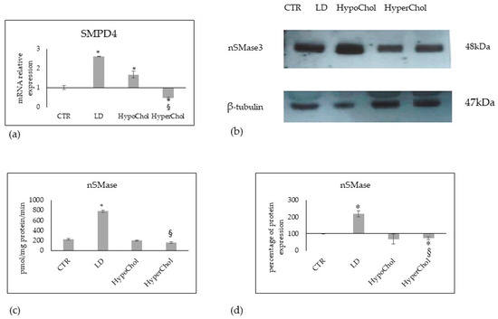 The Effect of Cholesterol in MCF7 Human Breast Cancer Cells