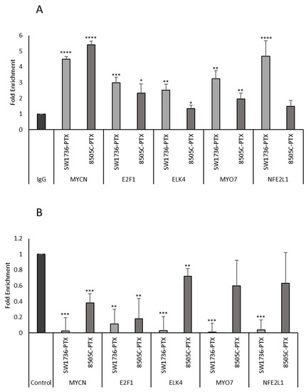 GSK2801 Reverses Paclitaxel Resistance in Anaplastic Thyroid Cancer ...