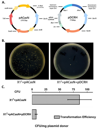 Efficient Knocking Out of the Organophosphorus Insecticides Degradation ...