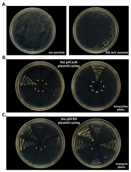 Efficient Knocking Out of the Organophosphorus Insecticides Degradation ...