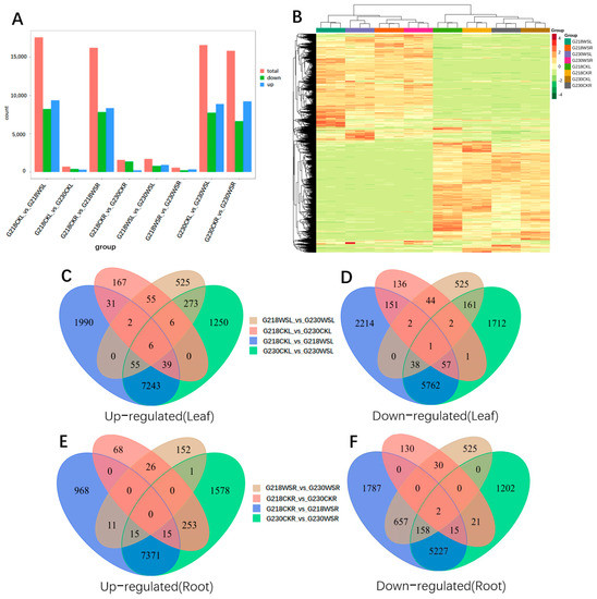 IJMS | Free Full-Text | Tissue-Specific Transcriptome and Metabolome ...