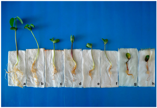 Evaluation of Short-Season Soybean Genotypes for Resistance and Partial ...