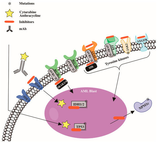 An Updated Overview of the Role of CYP450 during Xenobiotic ...