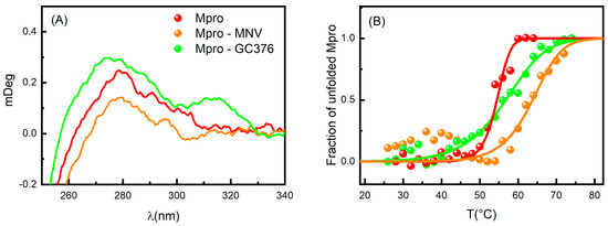 Stabilization of the Dimeric State of SARS-CoV-2 Main Protease by GC376 ...