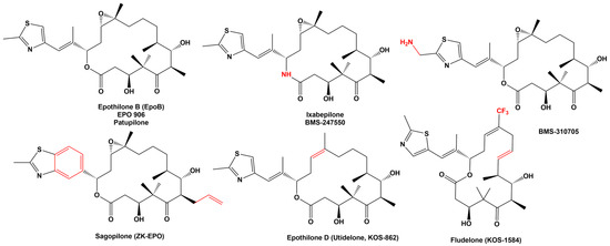 Epothilones as Natural Compounds for Novel Anticancer Drugs Development