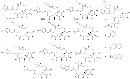 Epothilones as Natural Compounds for Novel Anticancer Drugs Development
