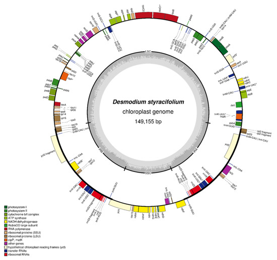 Comparative Analysis of Chloroplast Genome of Desmodium stryacifolium ...