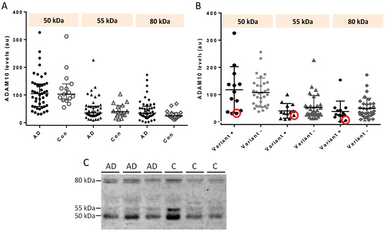 ADAM10 Gene Variants in AD Patients and Their Relationship to CSF ...