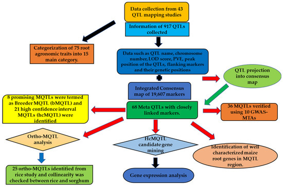 Genome-Wide Meta-Analysis of QTLs Associated with Root Traits and Implications for Maize Breeding