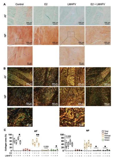 Oestrogen and Vibration Improve Intervertebral Disc Cell Viability and Decrease Catabolism in ...