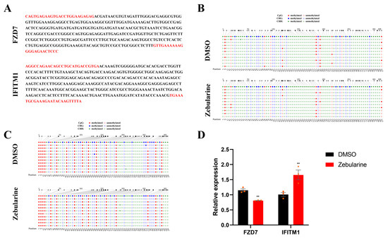 FZD7, Regulated by Non-CpG Methylation, Plays an Important Role in ...