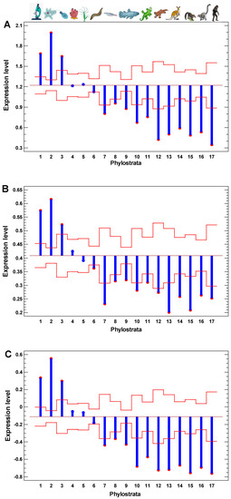 IJMS | Free Full-Text | Systemic Alterations of Cancer Cells and Their ...