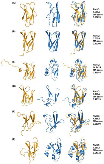 Ab Initio Modelling of the Structure of ToxA-like and MAX Fungal ...