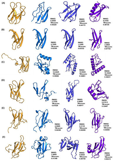 Ab Initio Modelling of the Structure of ToxA-like and MAX Fungal ...