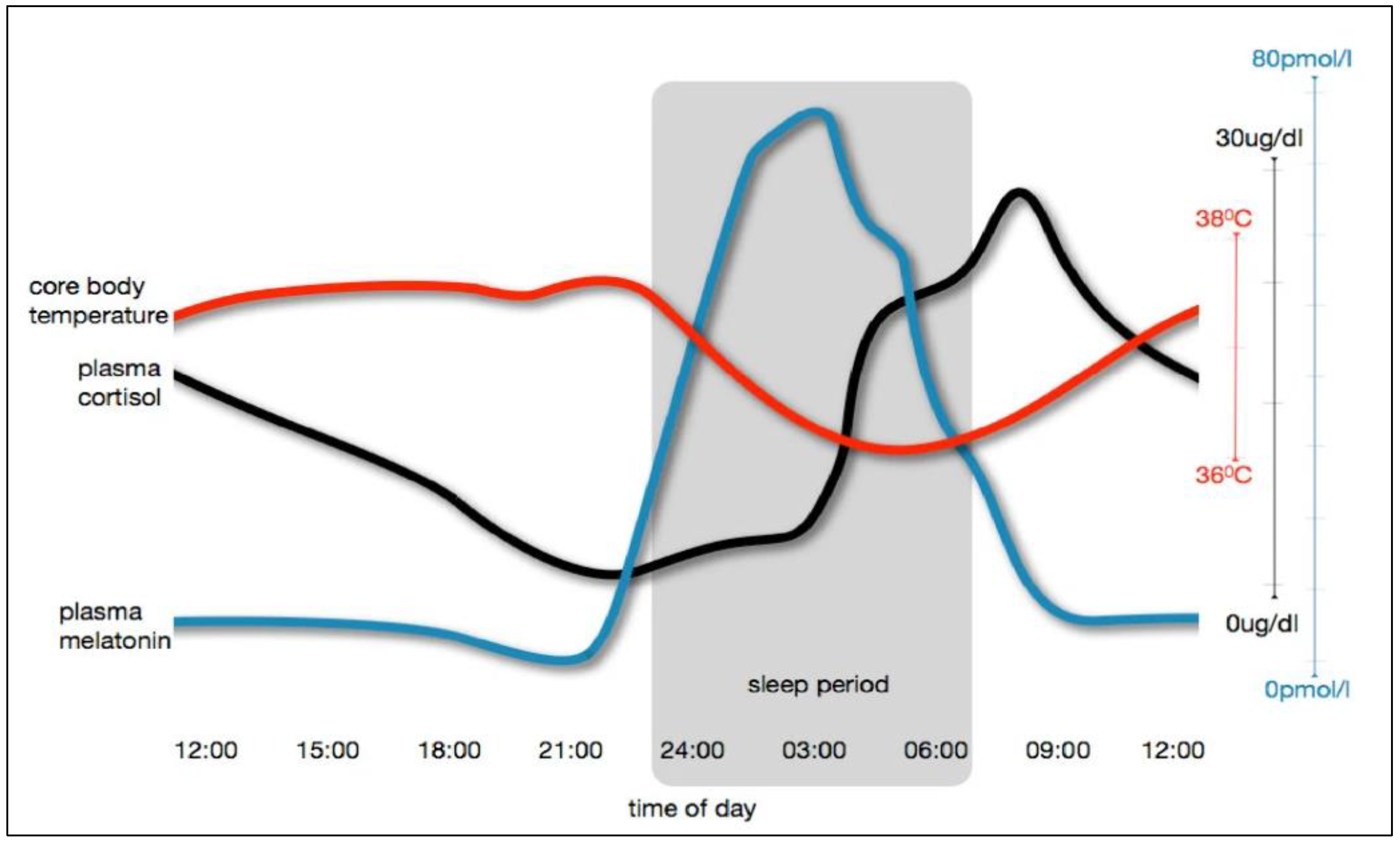 Physiological Rhythms and Biological Variation of Biomolecules: The ...