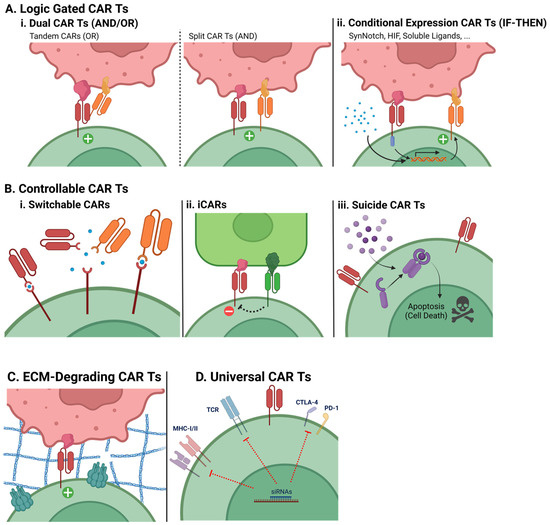 CAR T Cell Therapy: A Versatile Living Drug