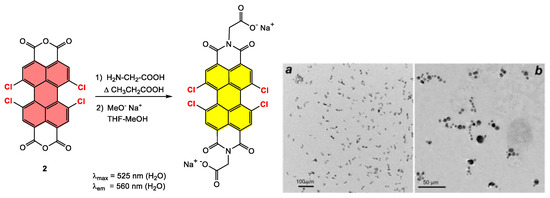Recent Advances in Applications of Fluorescent Perylenediimide and ...