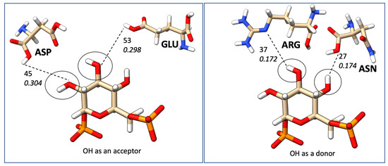 Quantum Mechanical Assessment of Protein–Ligand Hydrogen Bond Strength ...