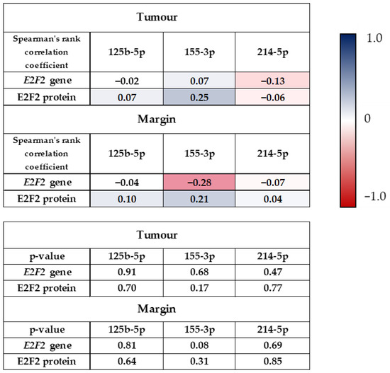 miR-125b-5p, miR-155-3p, and miR-214-5p and Target E2F2 Gene in Oral Squamous Cell Carcinoma