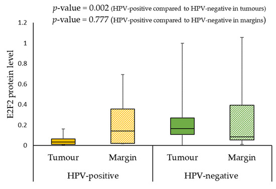 miR-125b-5p, miR-155-3p, and miR-214-5p and Target E2F2 Gene in Oral Squamous Cell Carcinoma