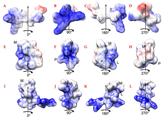 Engineered Peptides Enable Biomimetic Route for Collagen Intrafibrillar ...