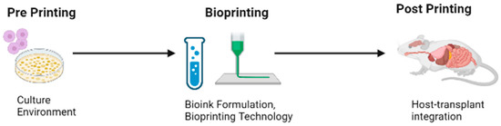 3D Bioprinting for Next-Generation Personalized Medicine