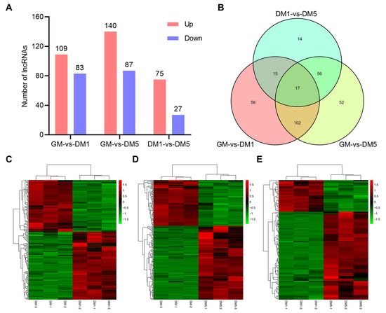 IJMS | Free Full-Text | Transcriptome Analysis Reveals the Profile of ...