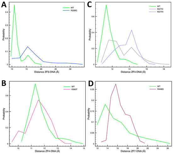 Effect of Single-Residue Mutations on CTCF Binding to DNA: Insights ...