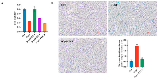 Propolis Ethanolic Extract Attenuates D-gal-induced C2C12 Cell Injury ...