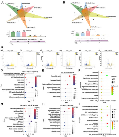 The Landscape of Accessible Chromatin and Developmental Transcriptome ...