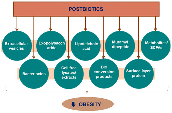 Postbiotics against Obesity: Perception and Overview Based on Pre ...