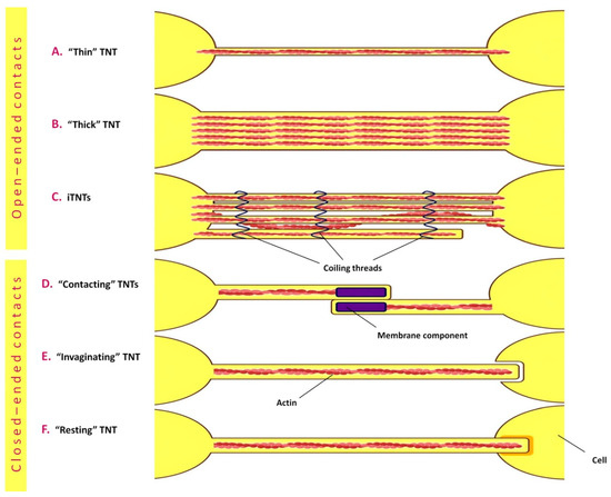 Non-Classical Intercellular Communications: Basic Mechanisms and Roles ...