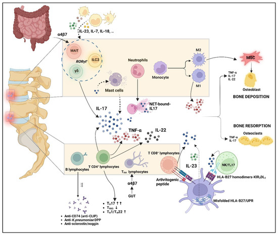 Uncovering the Underworld of Axial Spondyloarthritis
