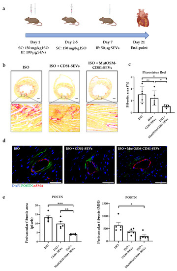 Oncostatin M-Enriched Small Extracellular Vesicles Derived from ...