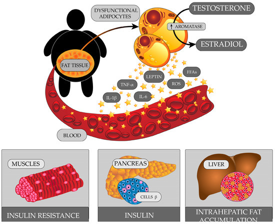 The Hypothalamic-Pituitary-Gonadal Axis in Men with Schizophrenia