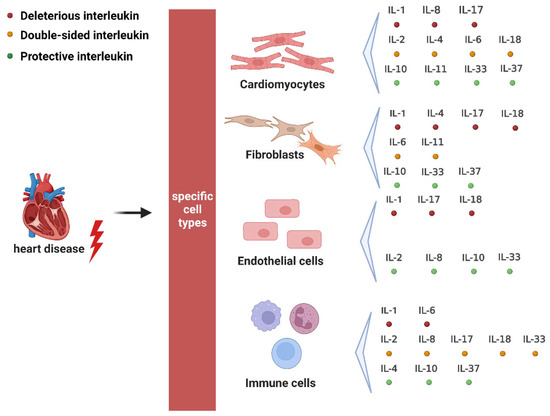Pathophysiological Effects of Various Interleukins on Primary Cell ...