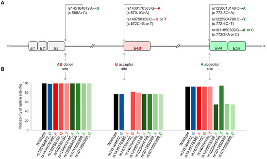 Molecular Basis of Unequal Alternative Splicing of Human SCD5 and Its ...